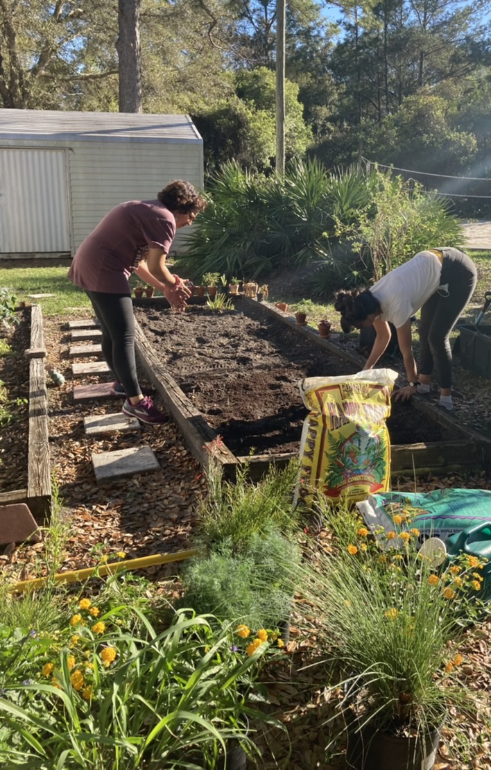Individual Therapeutic Horticulture Sessions